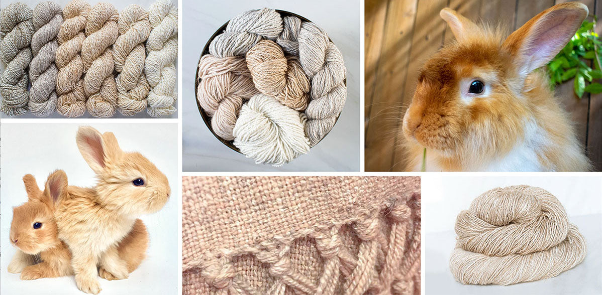 Meet the Buns – Jessica's Rabbits